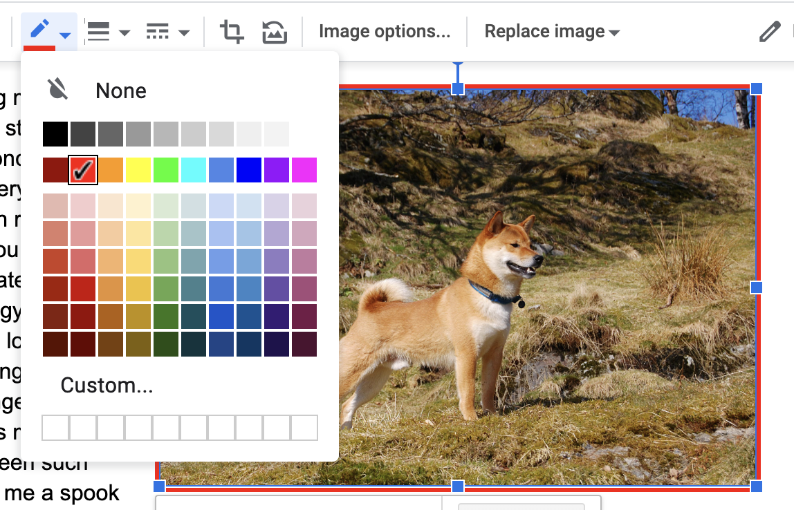 How To Work With Images In Google Docs